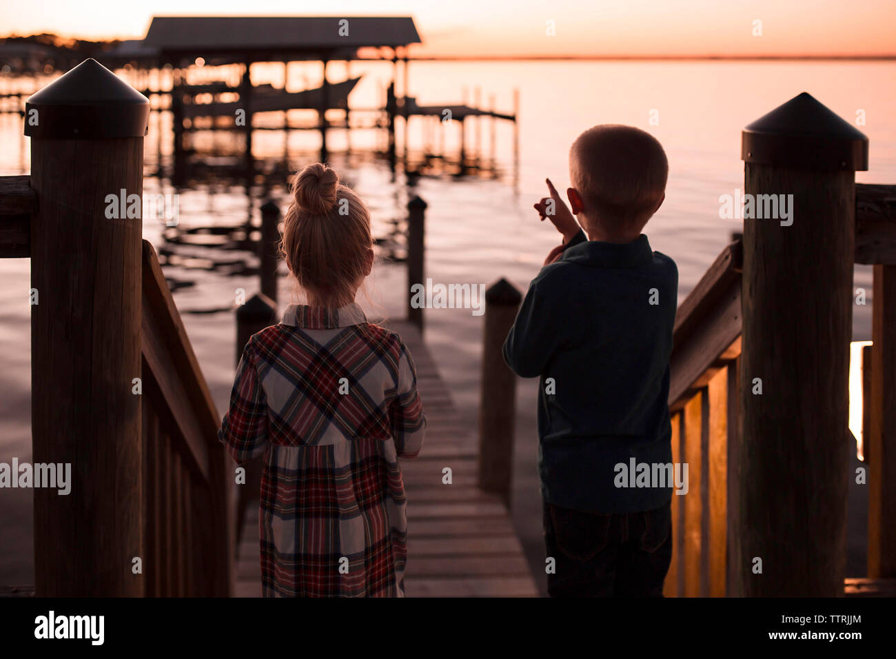 Rear view of brother pointing towards lake while standing by sister ...