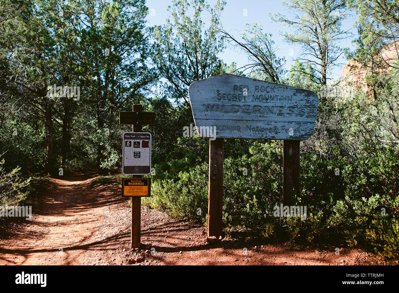 Signboard by trees and plants in forest Stock Photo - Alamy