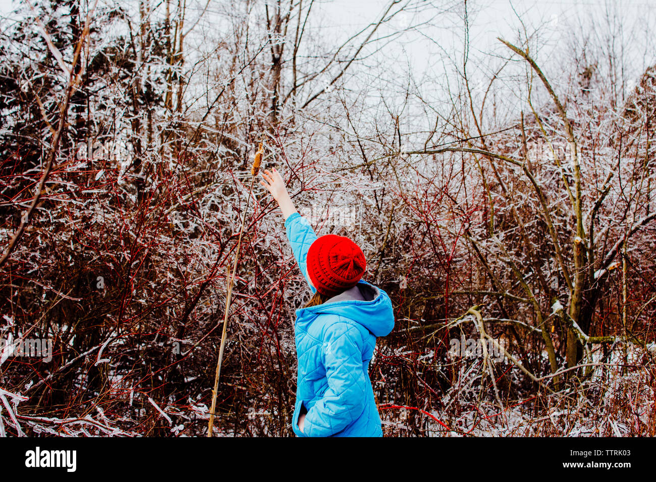 Child touching ice hi-res stock photography and images - Alamy