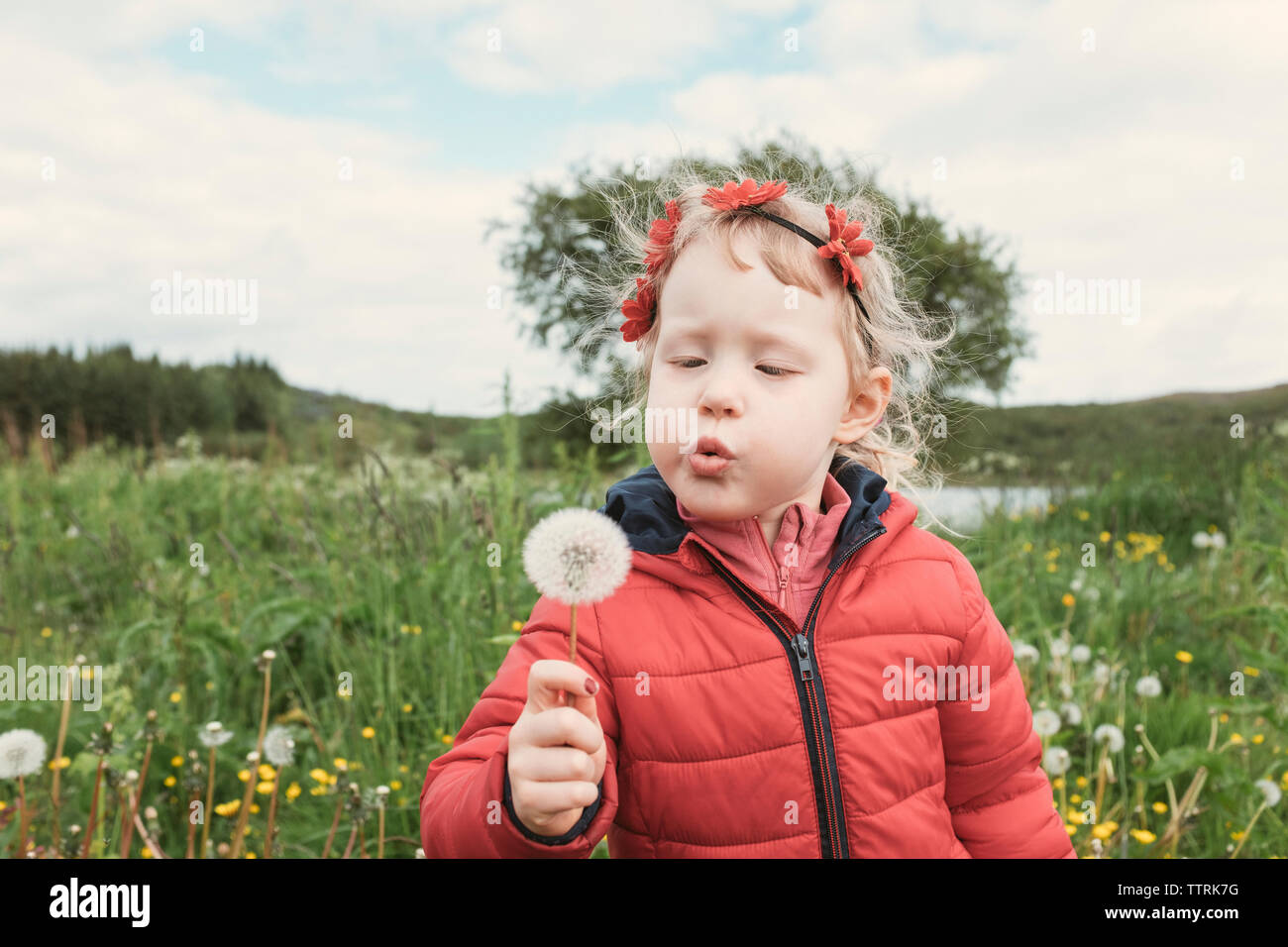 Girl blowing dandelion while standing on field Stock Photo - Alamy