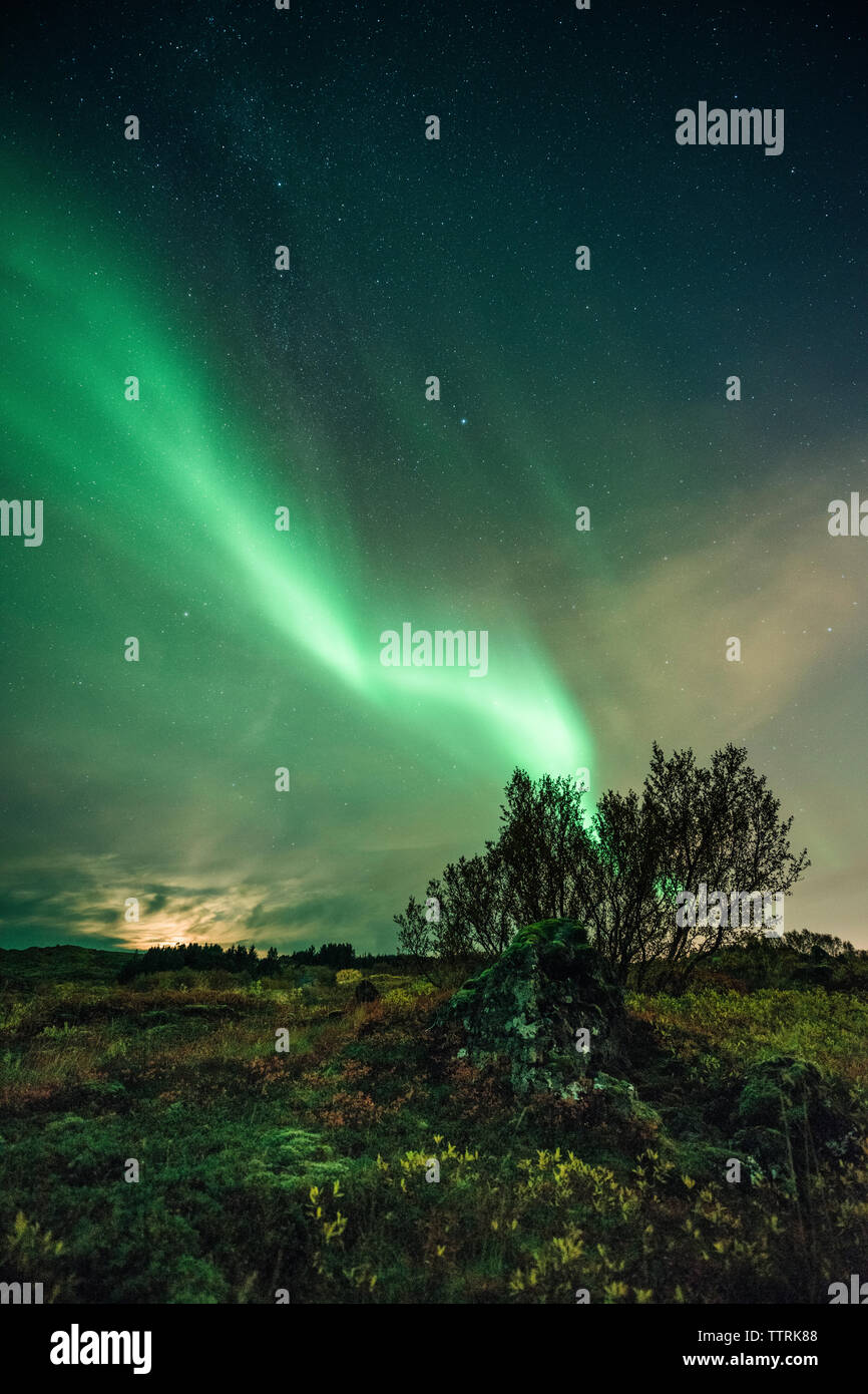 Scenic view of aurora borealis over field at night Stock Photo - Alamy