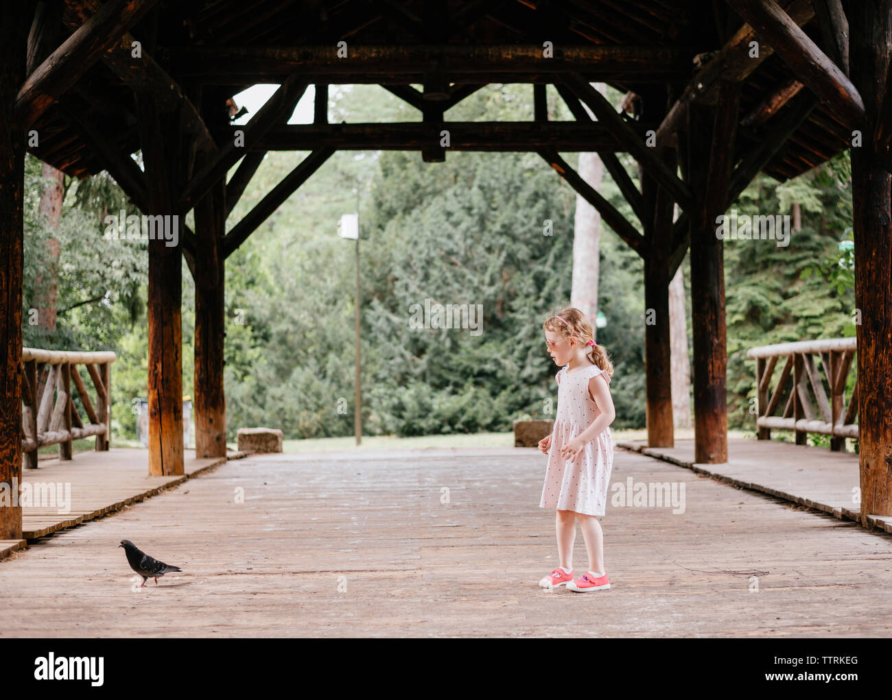 Girl bird hi-res stock photography and images - Alamy
