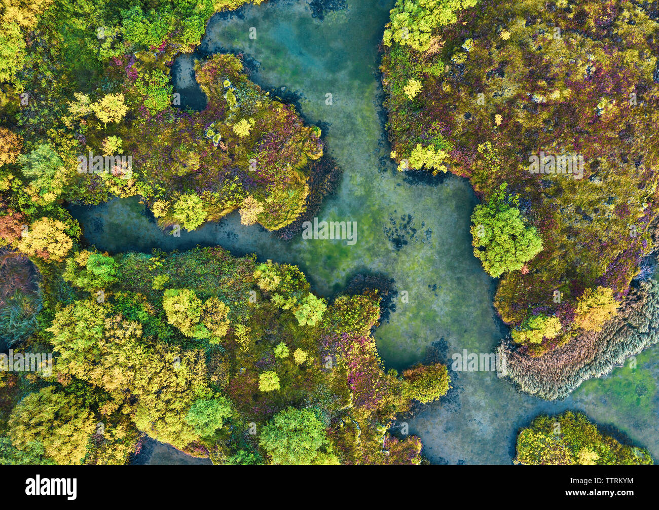 Green Wild Water High Resolution Stock Photography and Images - Alamy