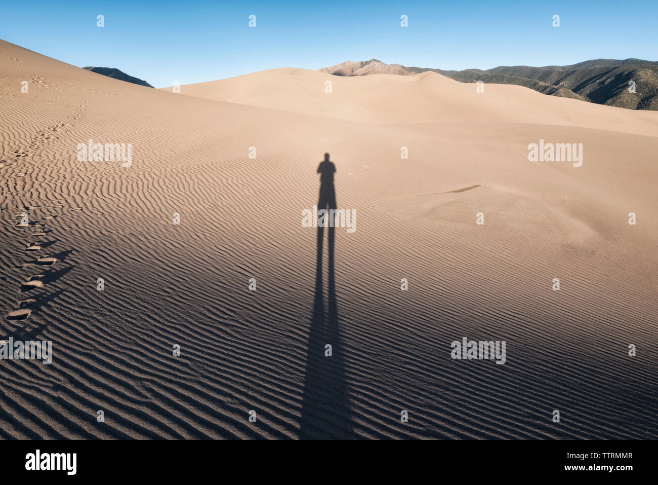 Shadow of person on sand Stock Photo - Alamy