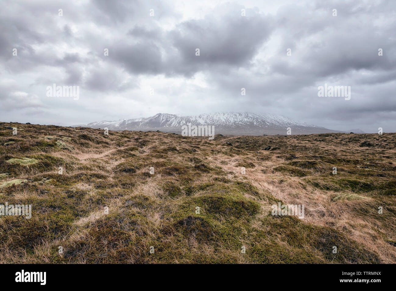 Landscape with the sky and nature hi-res stock photography and images ...