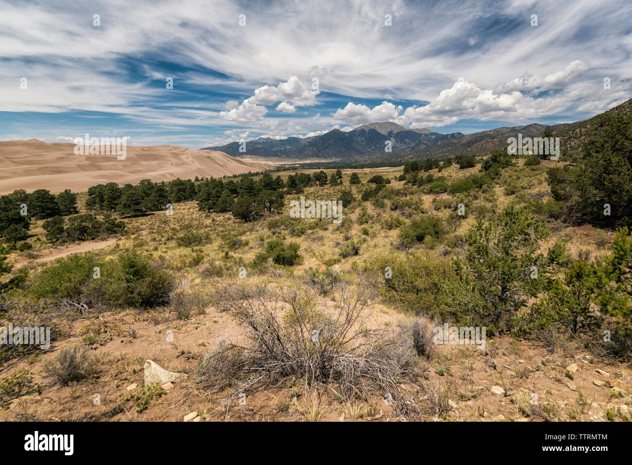 Semi desert landscape desert plants hi-res stock photography and images ...