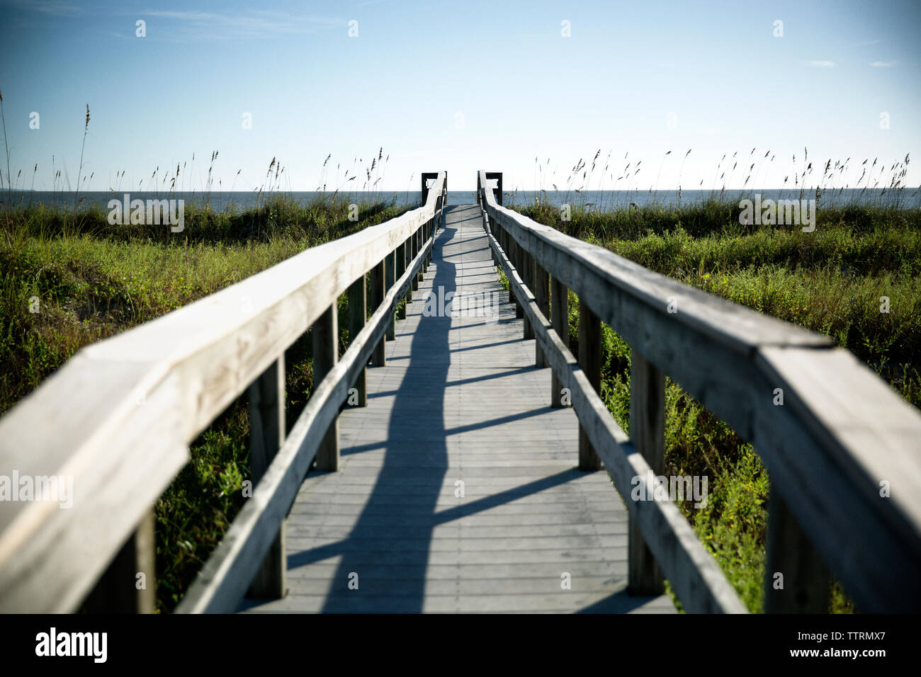 Wooden boardwalk over grassy field against sky Stock Photo - Alamy