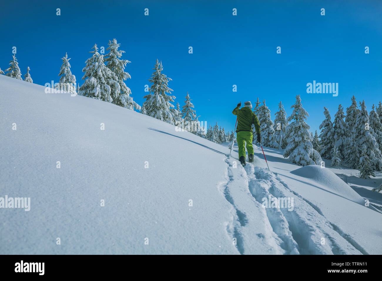 Kelly field view hi-res stock photography and images - Alamy