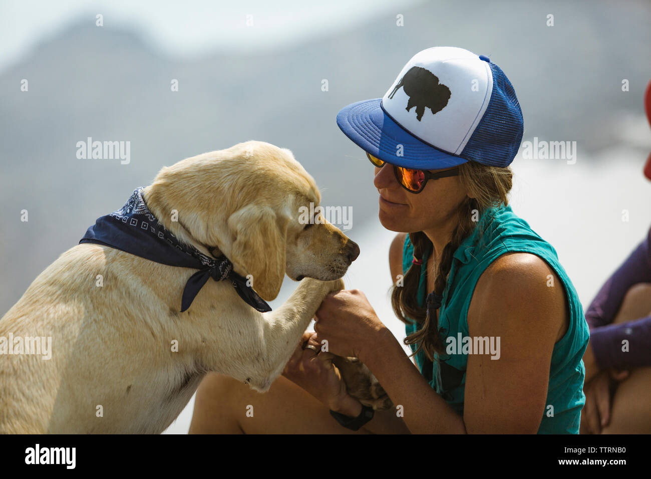 Hiking with pet hi-res stock photography and images - Alamy