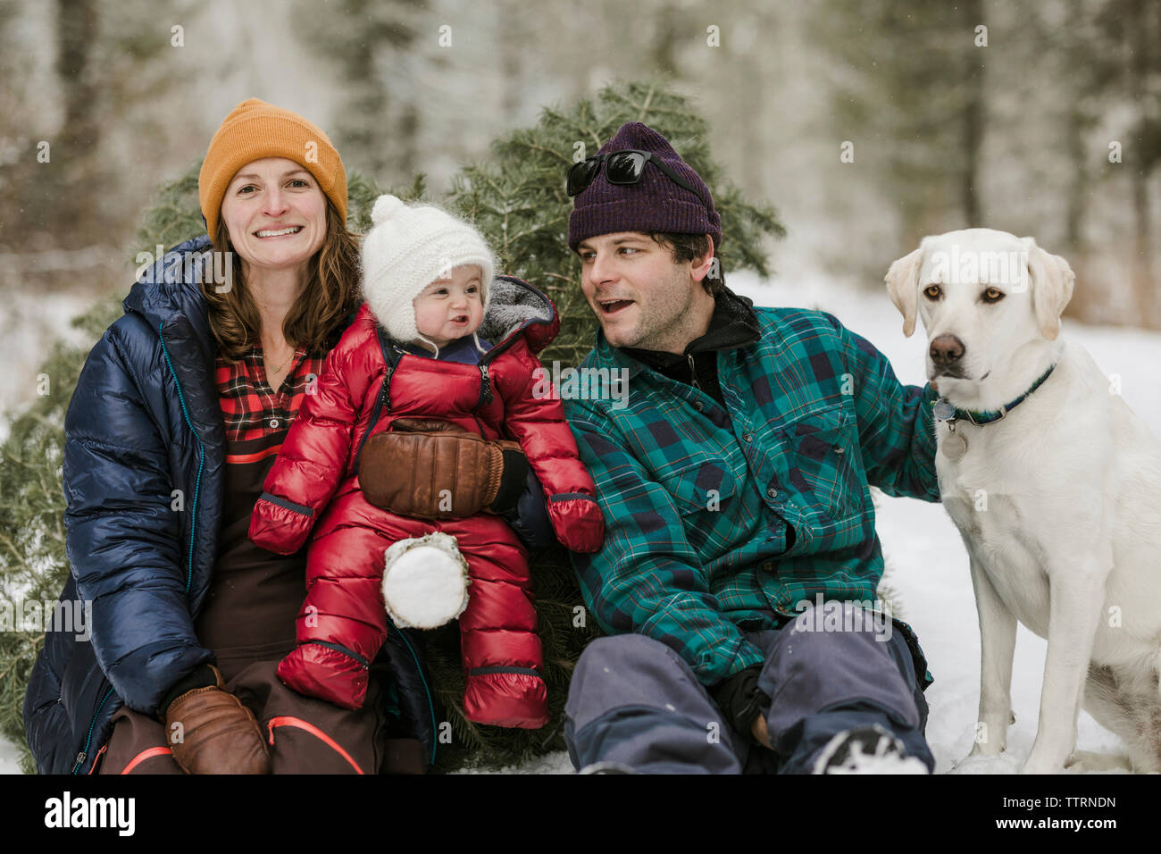 Family tree parents daughter hi-res stock photography and images - Alamy