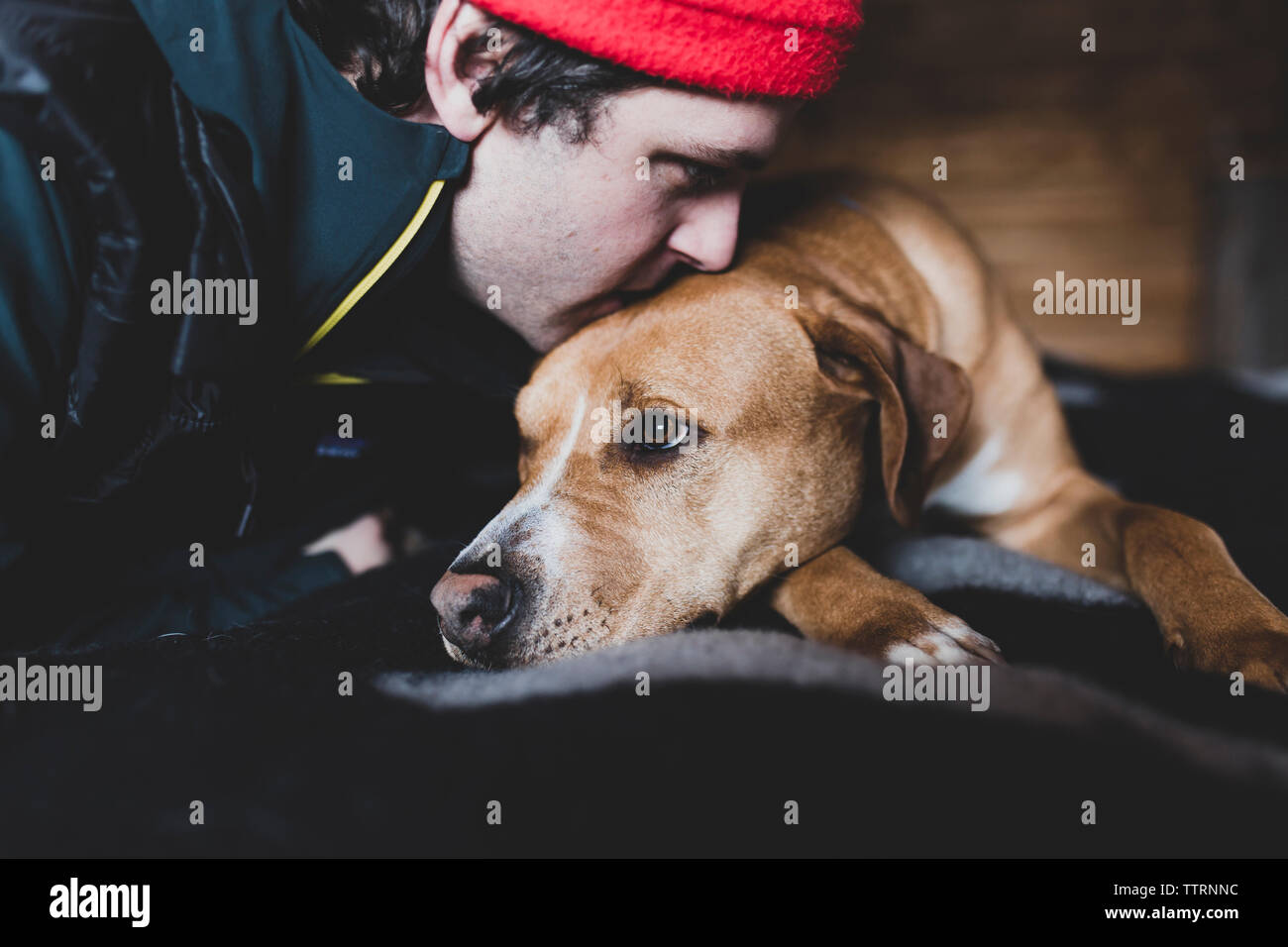 Kissing dog hi-res stock photography and images - Alamy