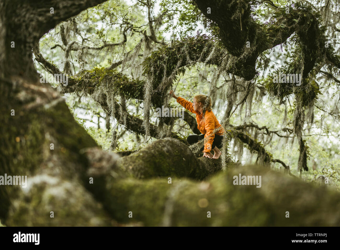 Young woman crouching on mossy branch at rainforest Stock Photo - Alamy