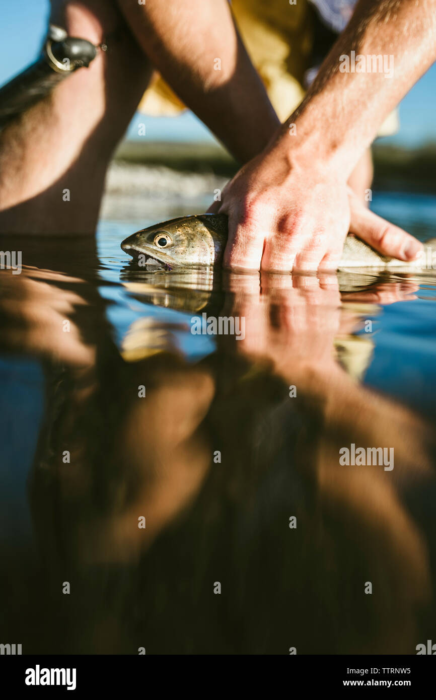 Mid water fish hi-res stock photography and images - Alamy