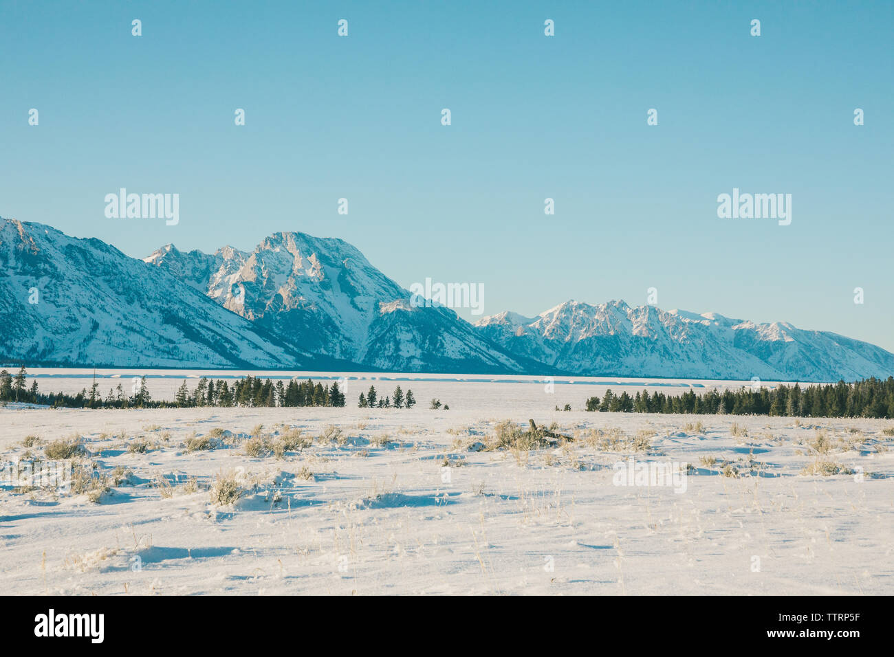 Northern rockies hi-res stock photography and images - Alamy