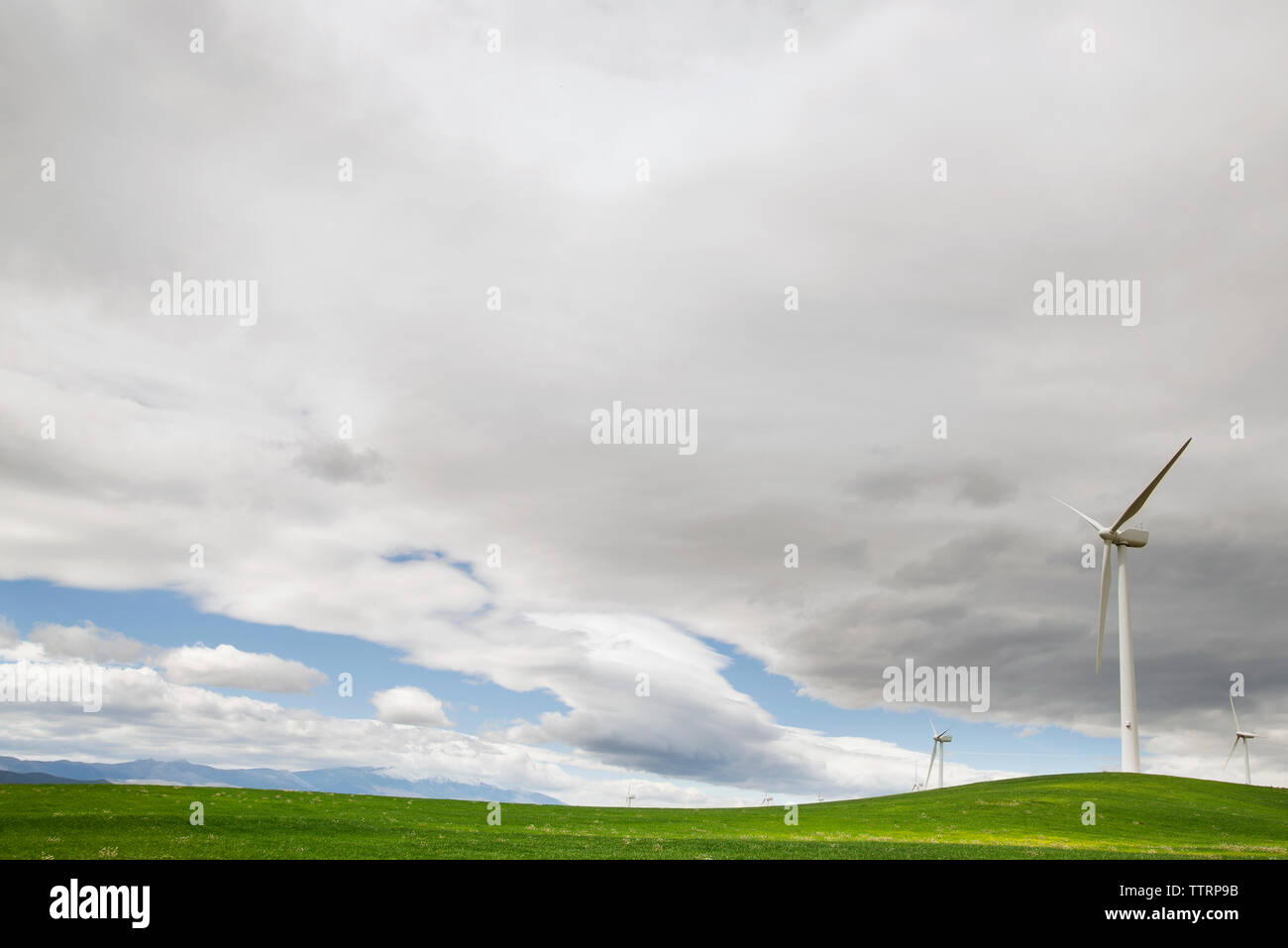 Wind turbines on green grass hi-res stock photography and images - Alamy