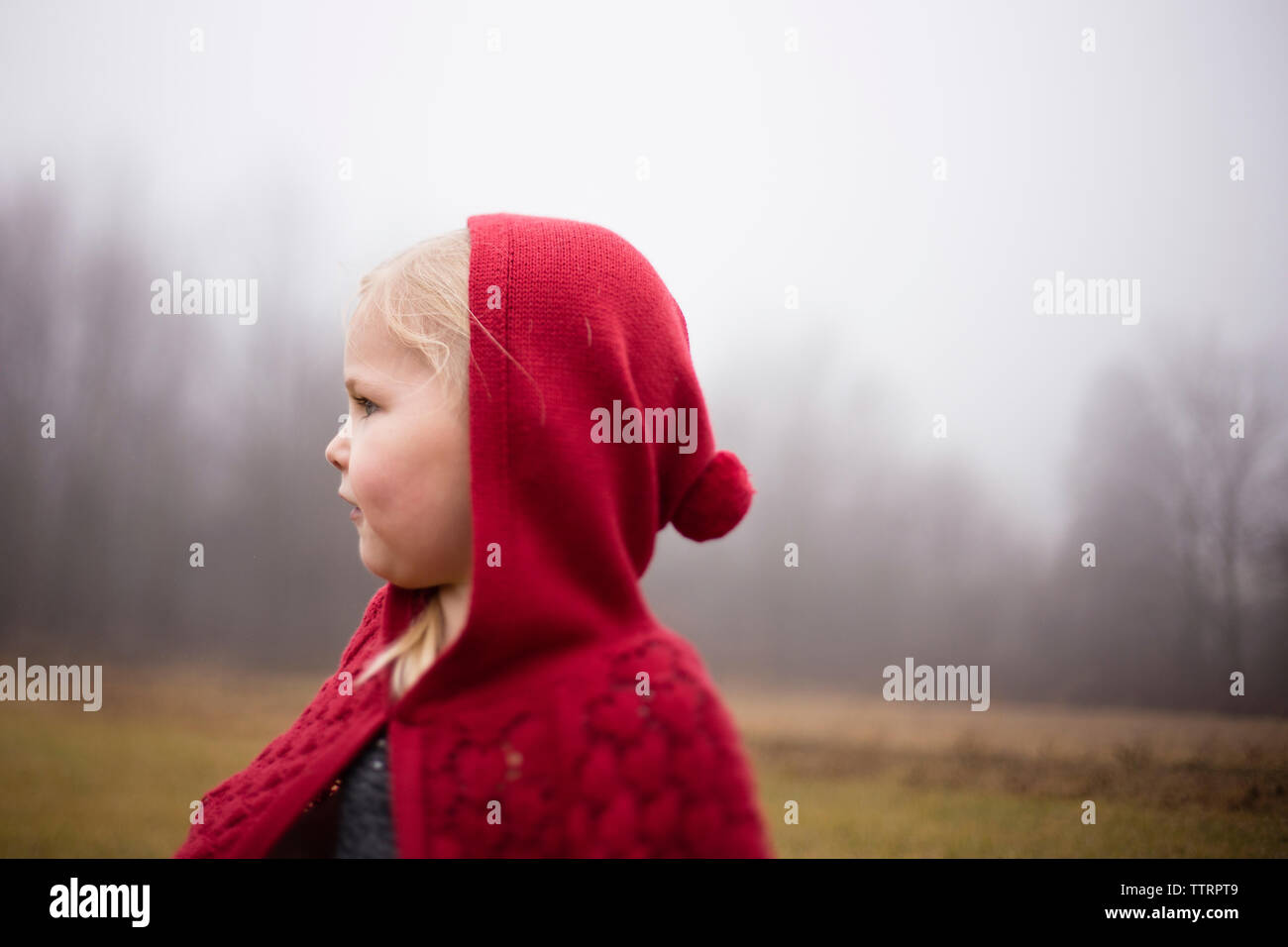 Close up weather hi-res stock photography and images - Alamy