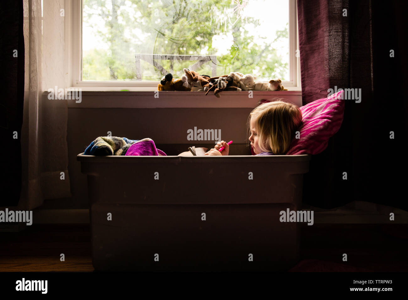 Container for toys hi-res stock photography and images - Alamy