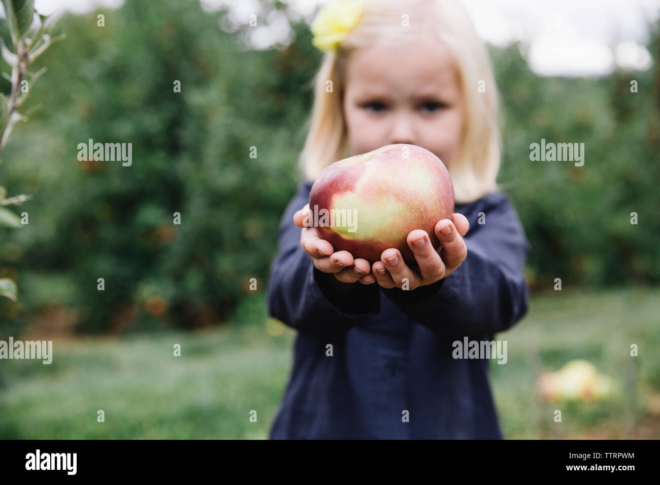 Girl holding fruit hi-res stock photography and images - Alamy