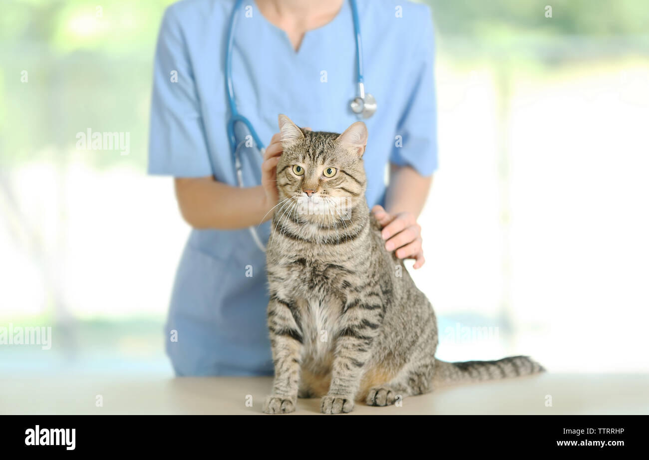 Beautiful female doctor checking hi-res stock photography and images ...