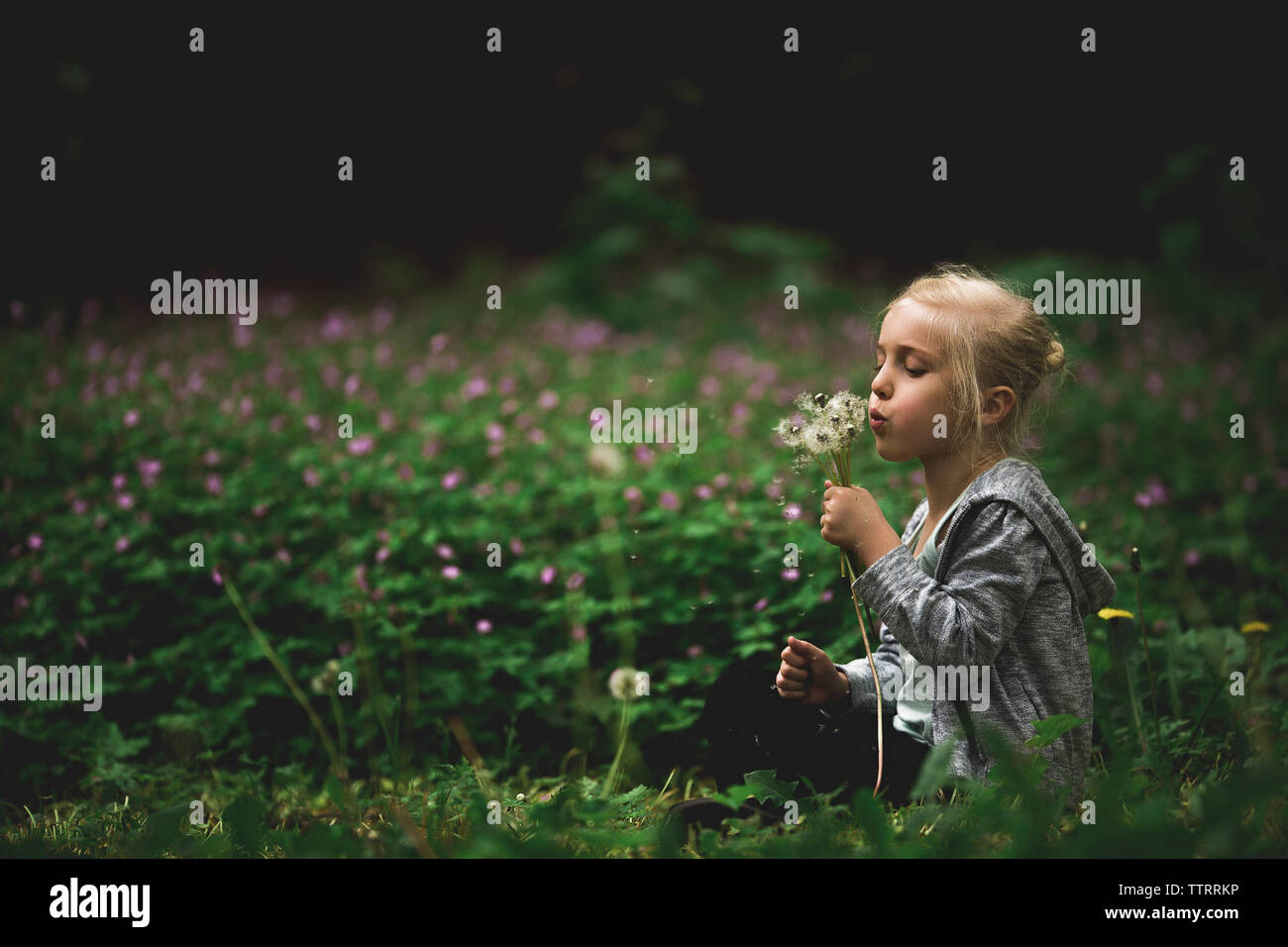 Girl field dandelions hi-res stock photography and images - Alamy