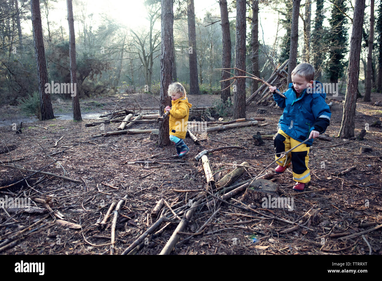 Boy playing with sticks hi-res stock photography and images - Alamy