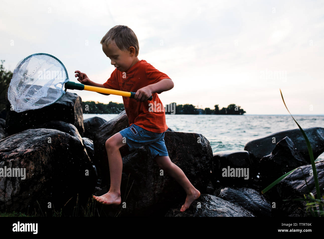Playful boy running on rocks while holding butterfly fishing net ...