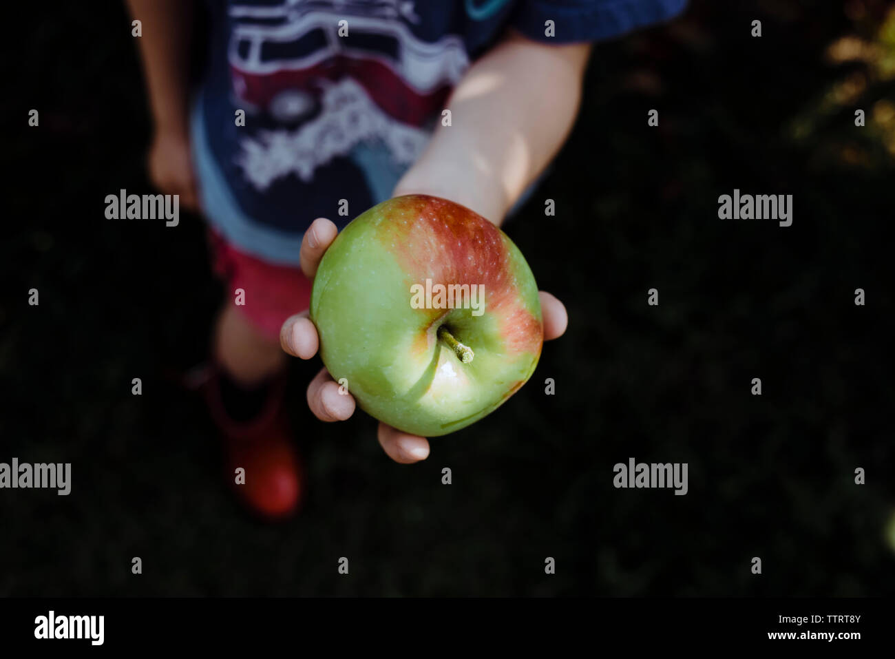 Boy with apple hi-res stock photography and images - Alamy