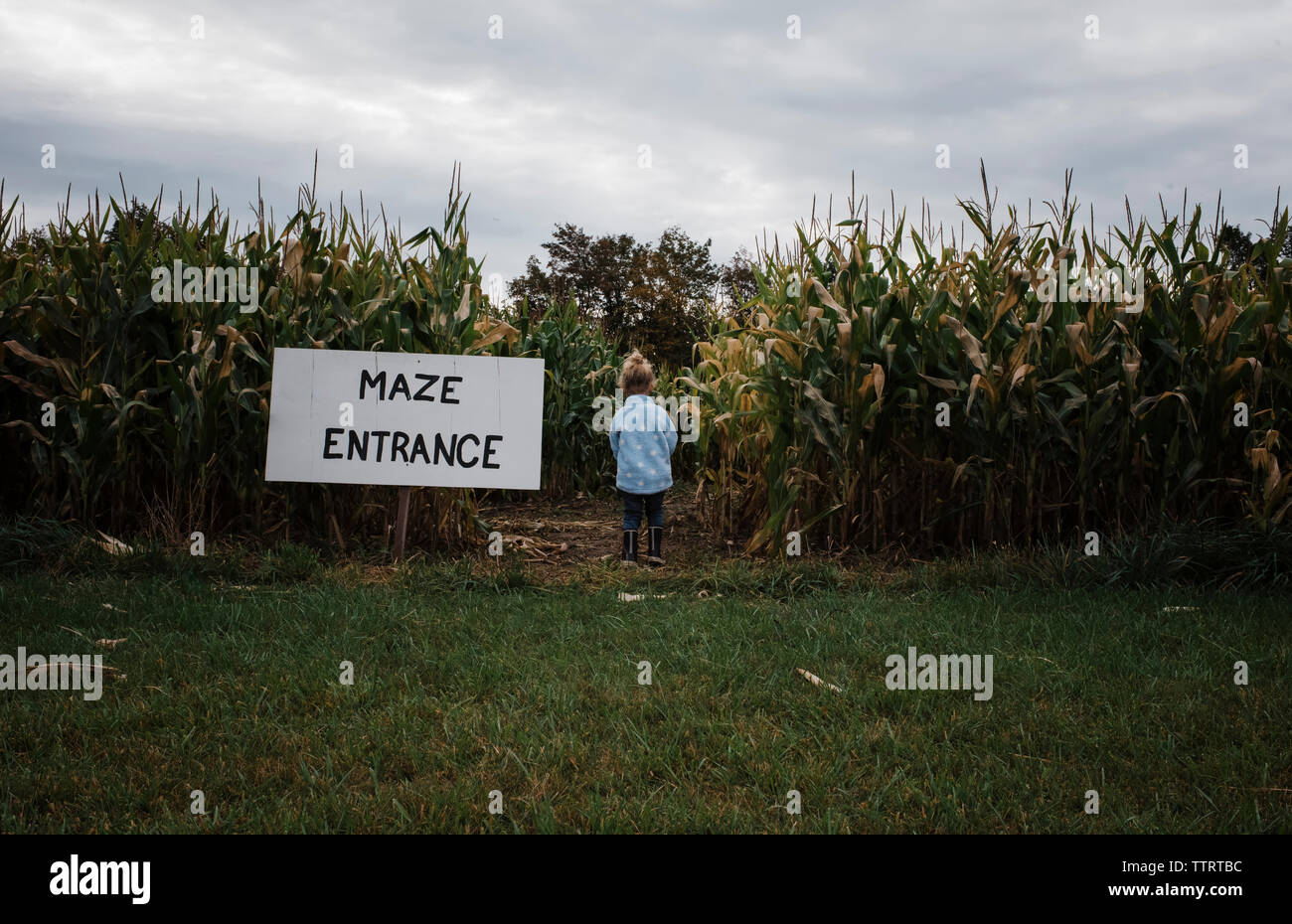 Corn maze sign corn maze sign hi-res stock photography and images - Alamy