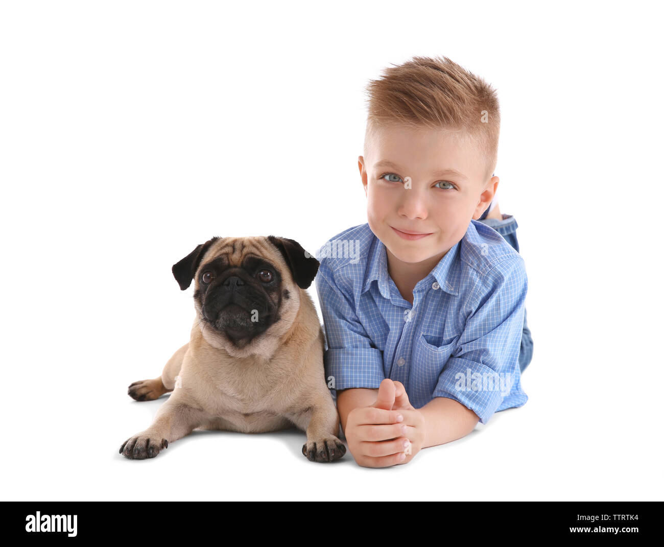 Cute boy with pug dog, isolated on white Stock Photo - Alamy