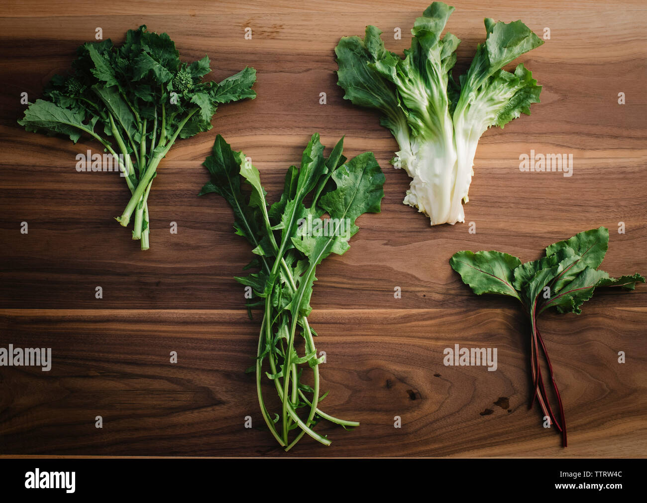Close up view of green leaf hi-res stock photography and images - Alamy
