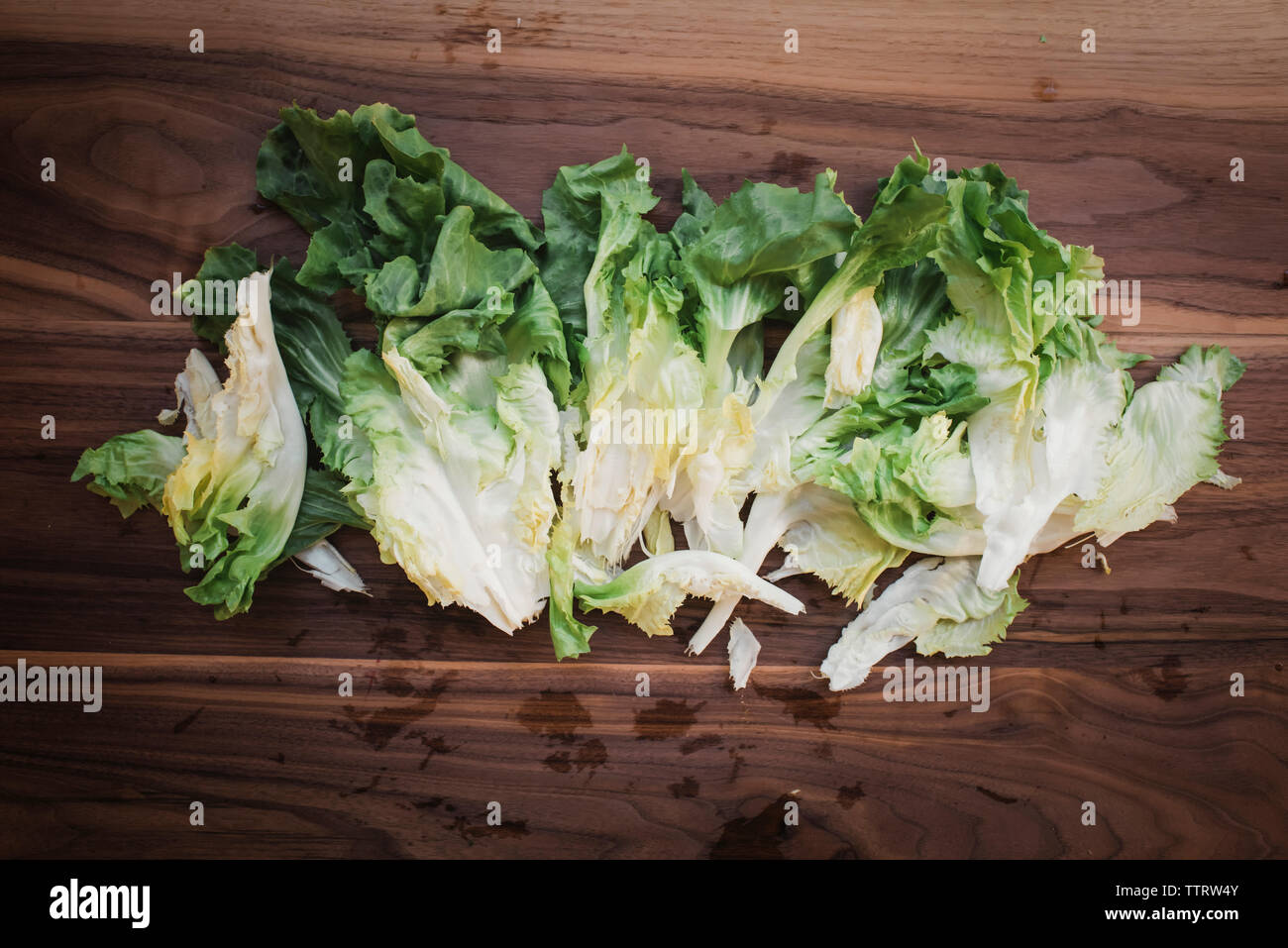 Close up view of green leaf hi-res stock photography and images - Alamy