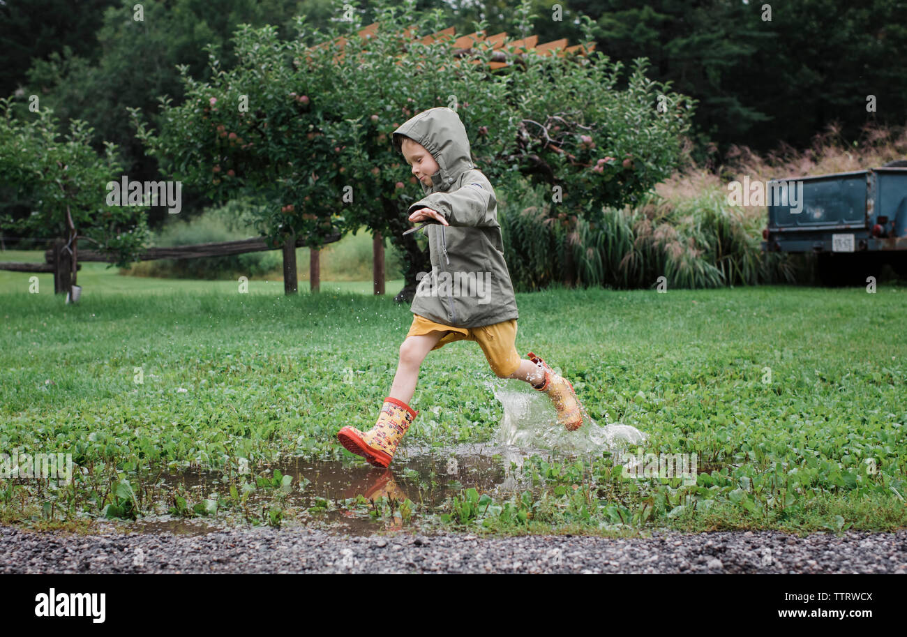 Playful boy jumping and splashing water in puddle at apple orchard ...