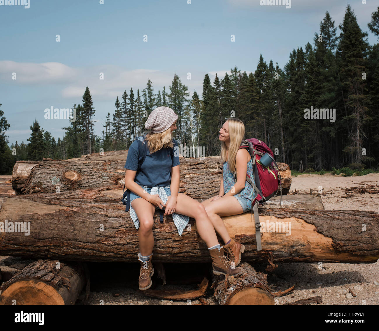 Female friends talking while sitting on logs against sky in forest ...