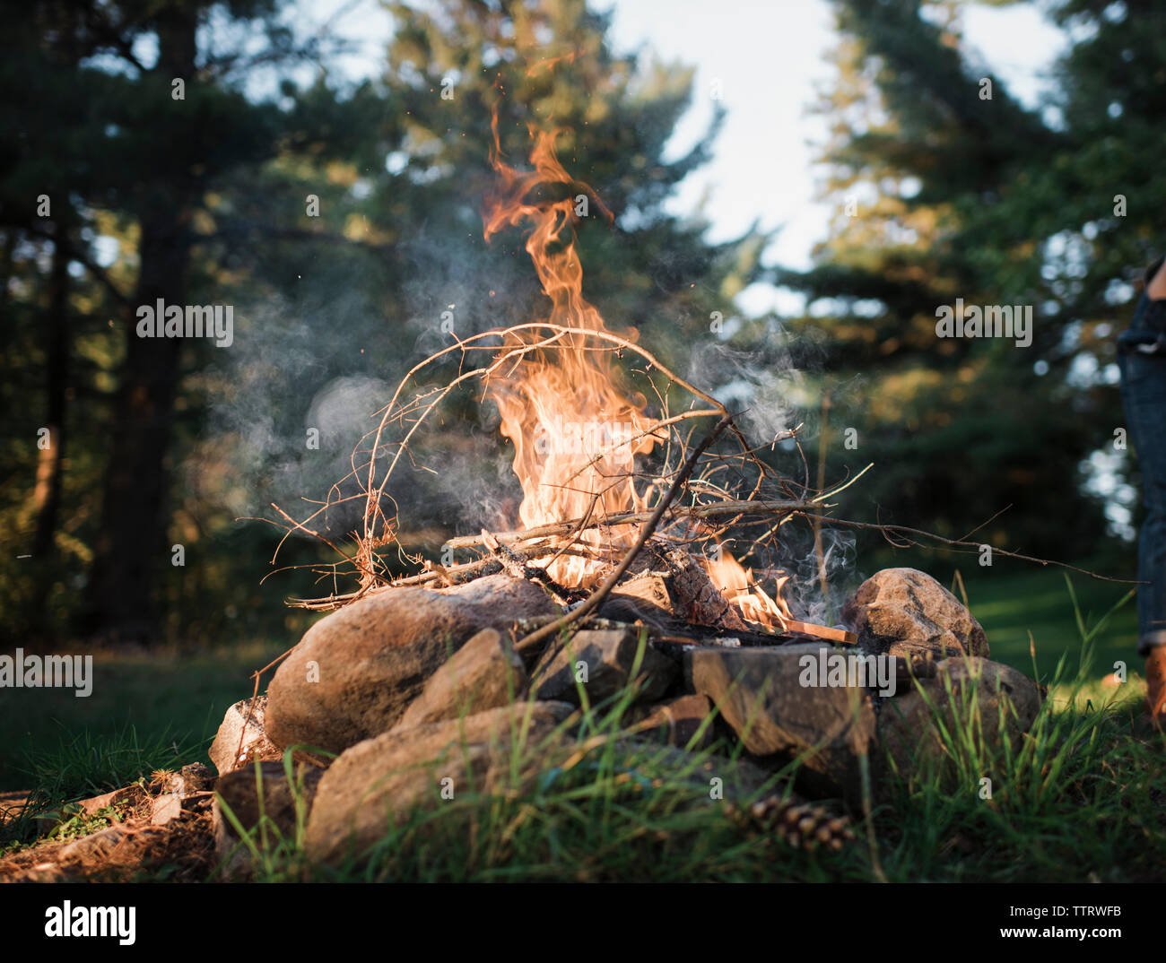 Woodland camping rocks hi-res stock photography and images - Alamy