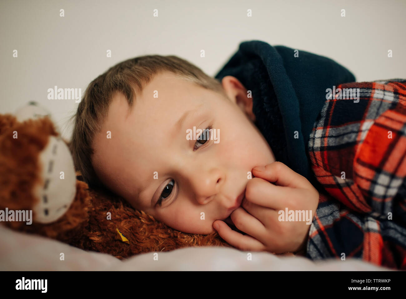 Cuddling Teddy Bear High Resolution Stock Photography and Images - Alamy