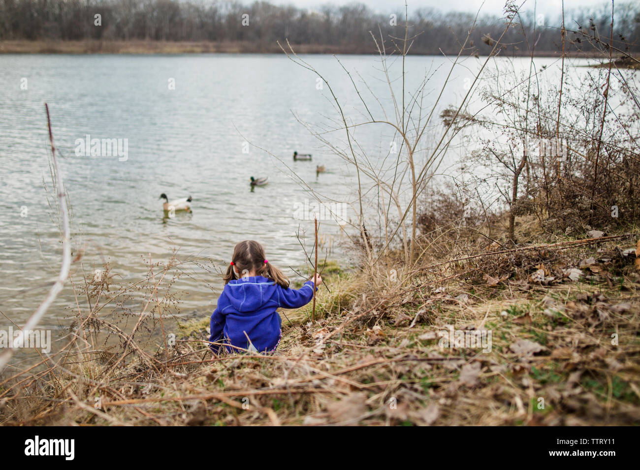 Rear view girl sitting pond hi-res stock photography and images - Alamy