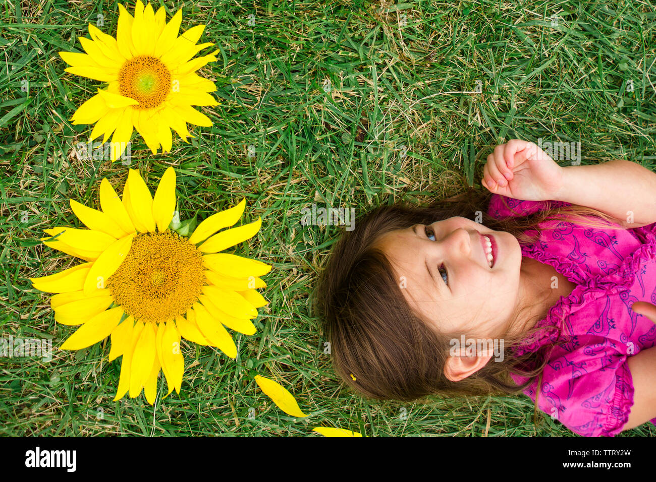 High angle view of cute happy girl lying by sunflowers on grassy field ...