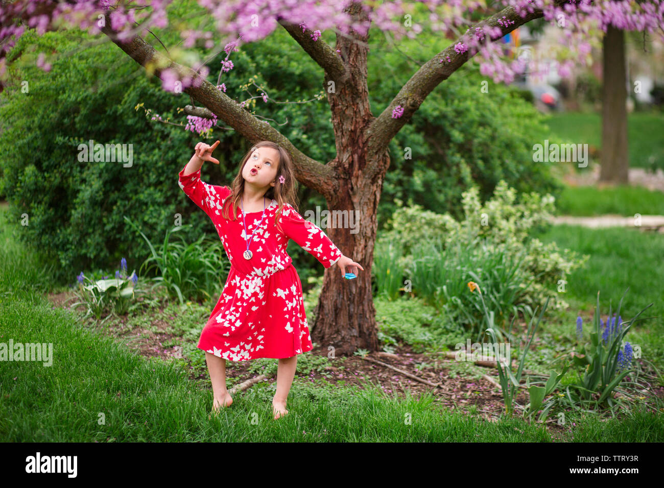 Girl dancing by tree at park during springtime Stock Photo - Alamy