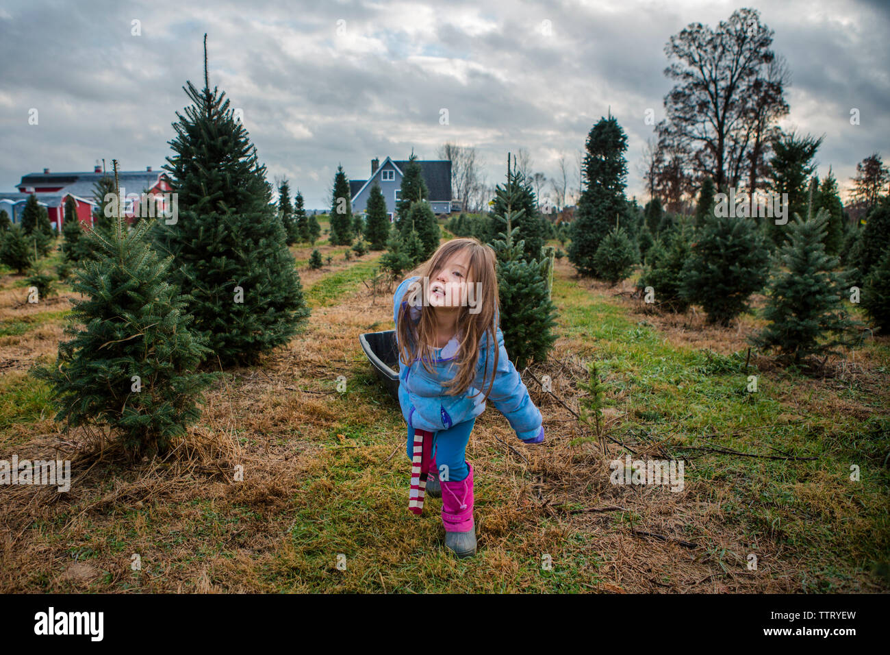 Dragging hi-res stock photography and images - Alamy