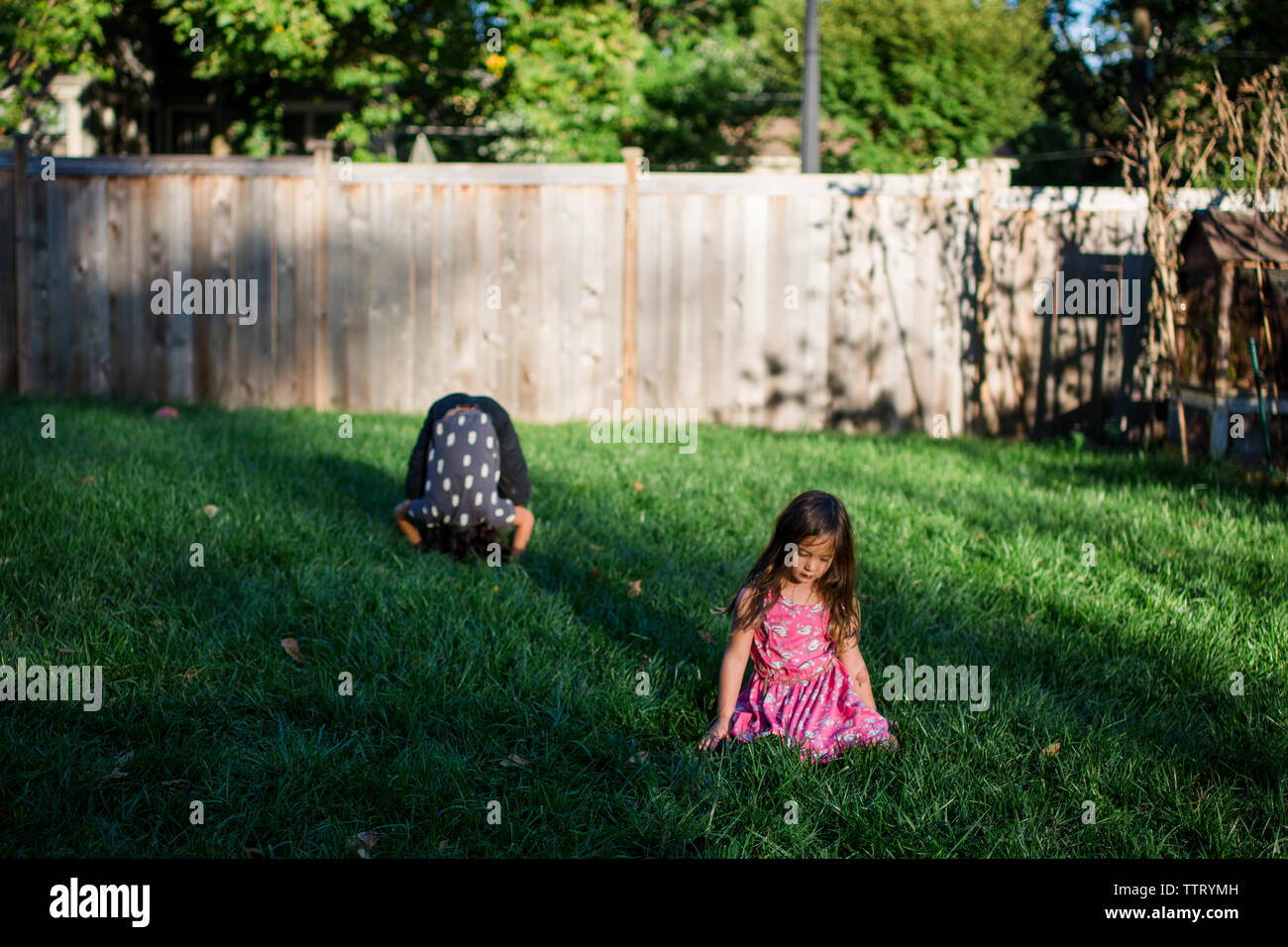 a brother and sister play in the grass in their yard Stock Photo - Alamy