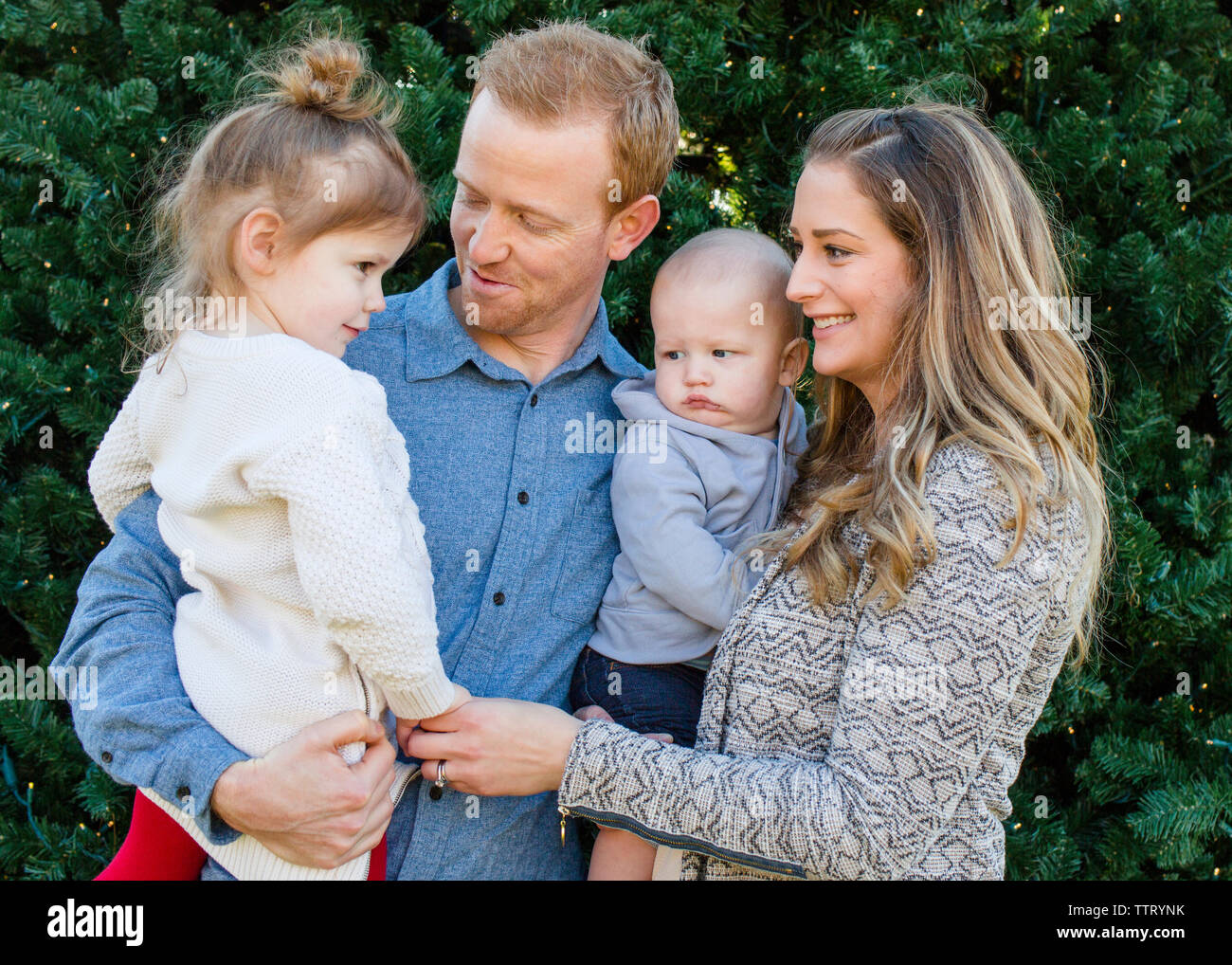 Family tree stands hi-res stock photography and images - Alamy