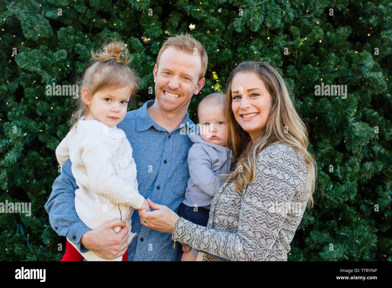 Family tree stands hi-res stock photography and images - Alamy