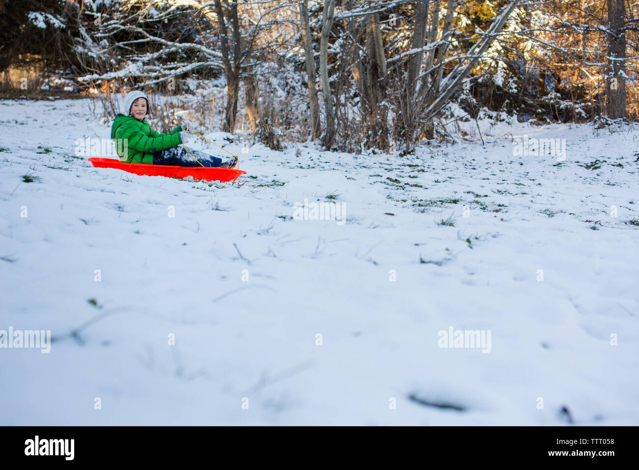 A happy boy sleds down a snowy hill in a tree-lined yard Stock Photo ...