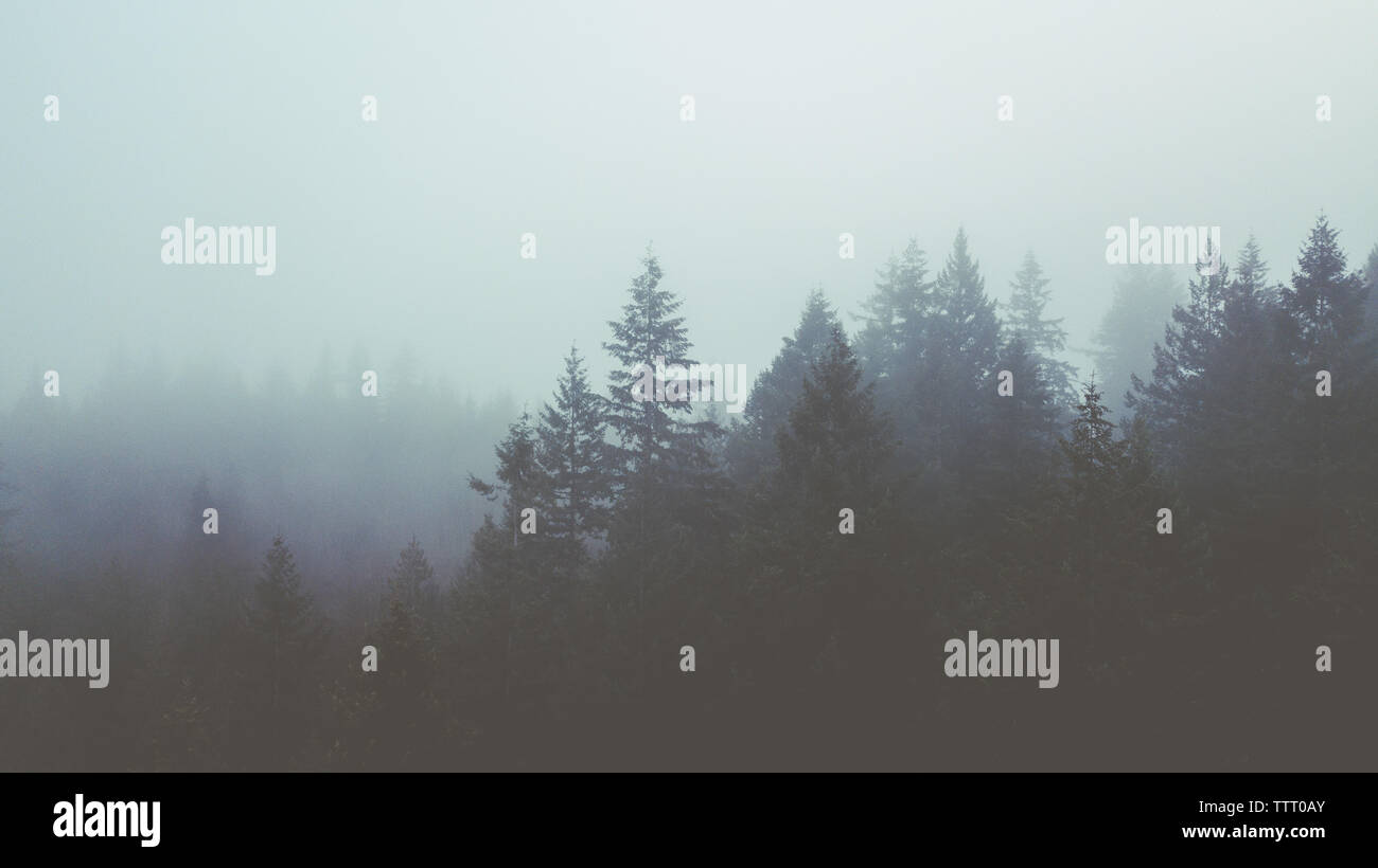 Misty layers hi-res stock photography and images - Alamy