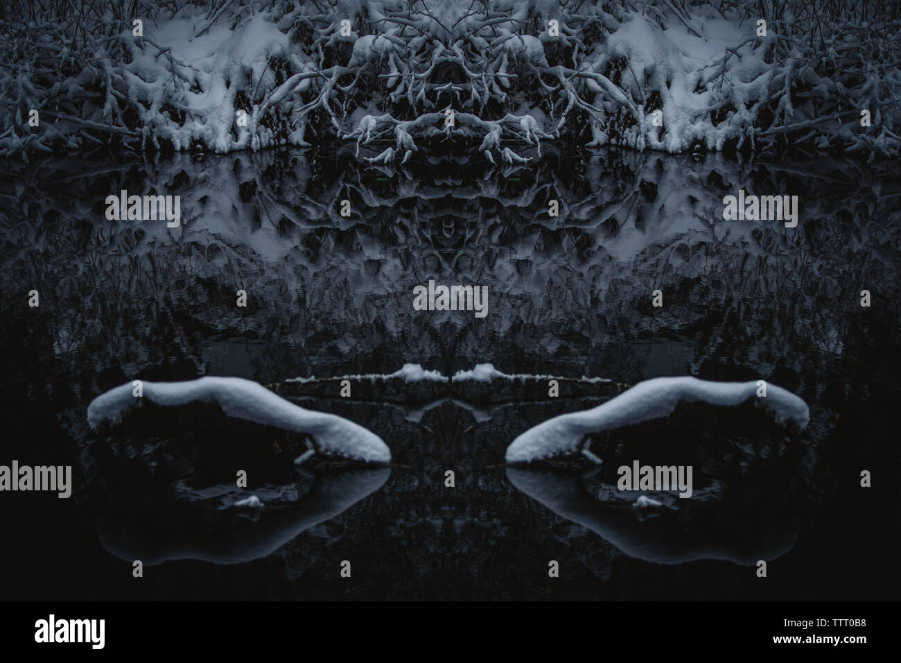 Creepy Moody Winter Pond Mirror Reflections Stock Photo - Alamy