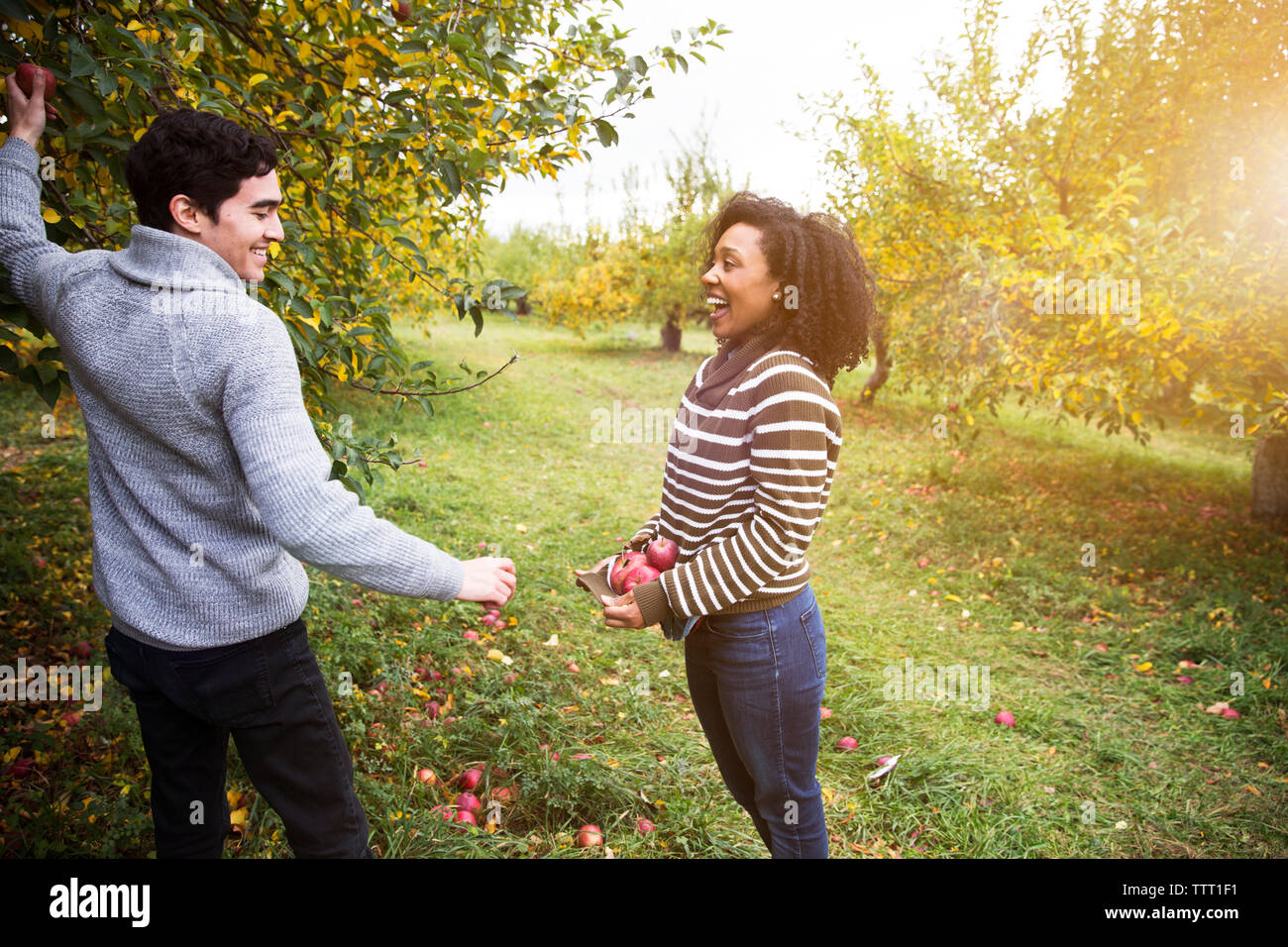 Woman giving apple man hi-res stock photography and images - Alamy