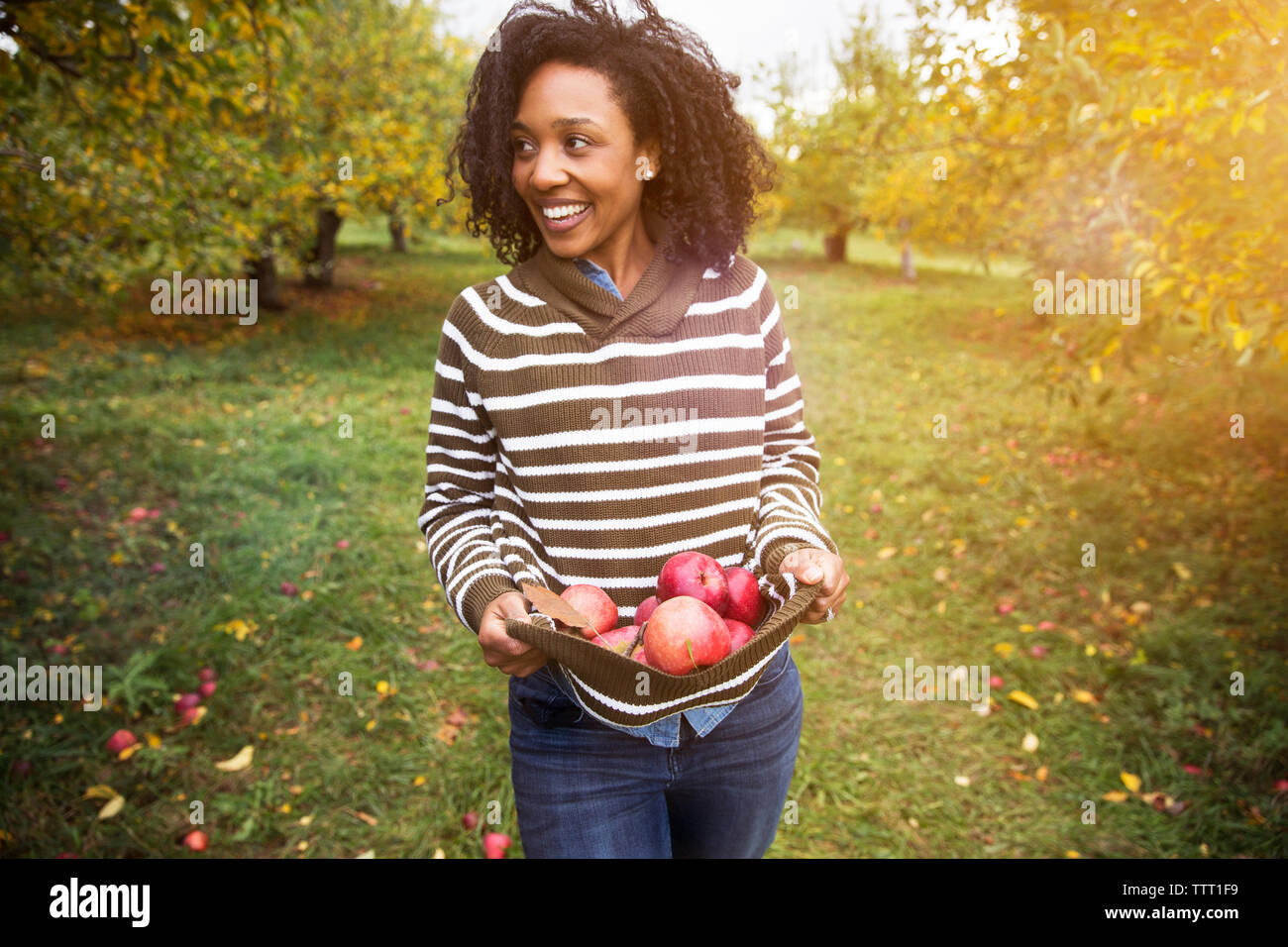 African orchard hi-res stock photography and images - Alamy