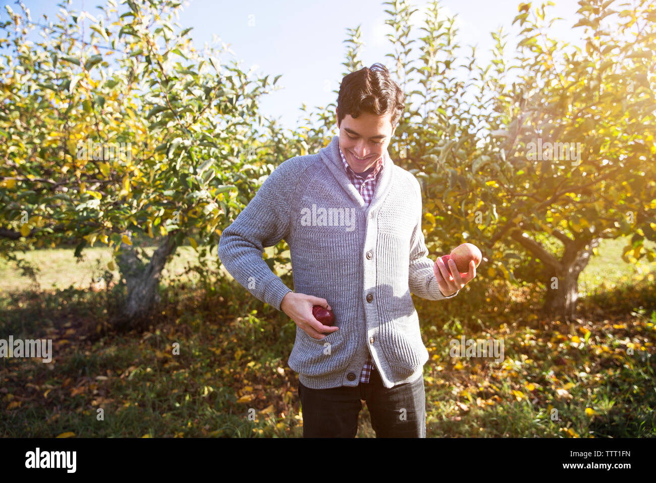 Man with apples hi-res stock photography and images - Alamy
