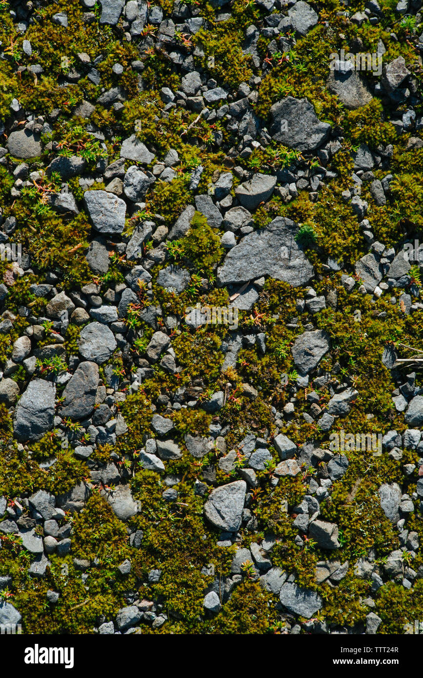 Overhead environment hi-res stock photography and images - Alamy