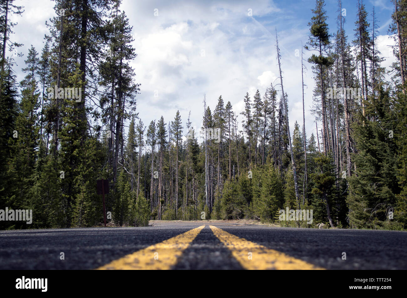 Surface level of street amidst trees Stock Photo - Alamy